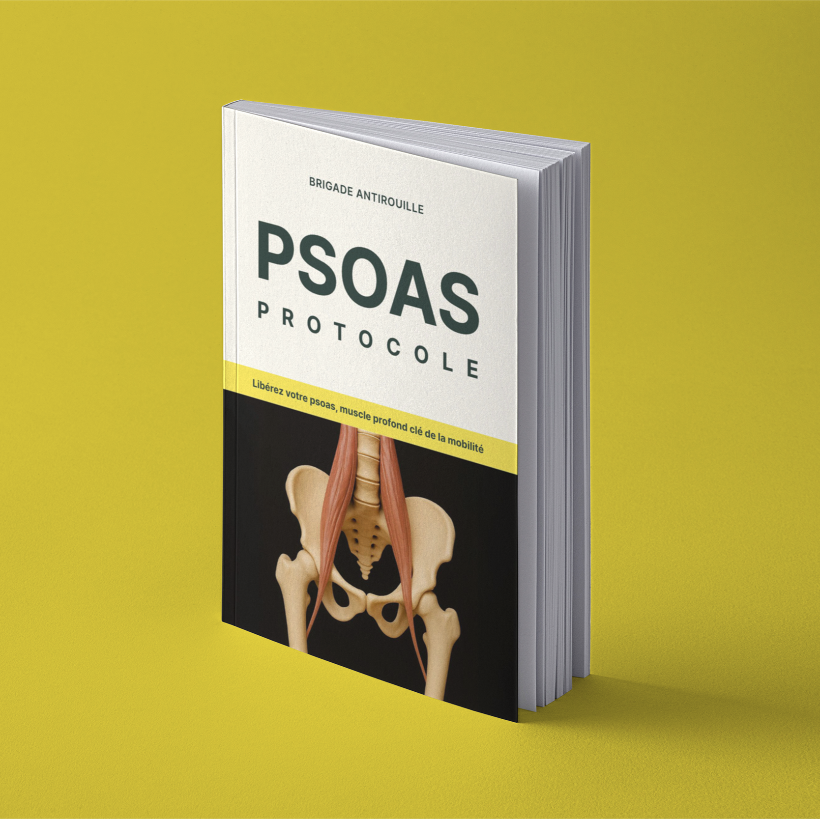 E-Book Psoas Protocole – Brigade Antirouille